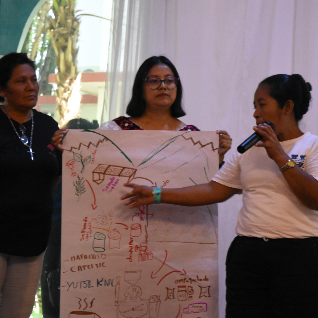 FONCET impulsa la participación de mujeres y la perspectiva de género ...